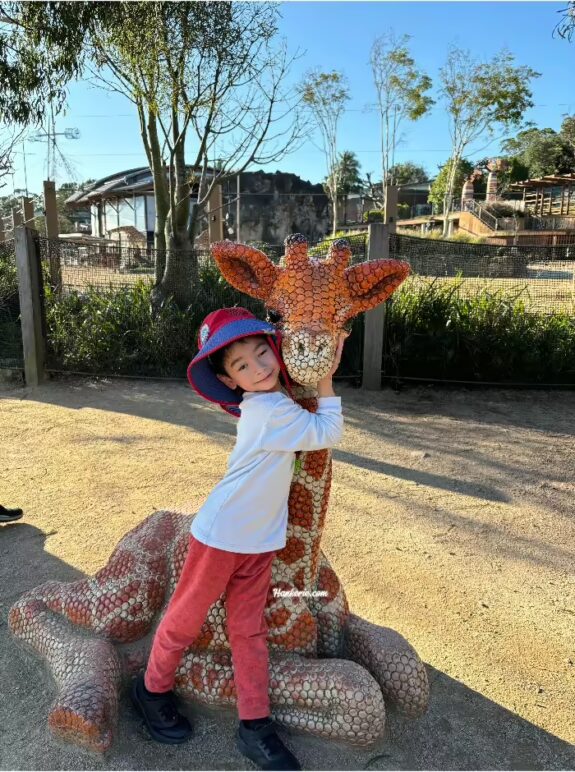 GIRAFFE Light & Fluffy Bread: A Taste of Sydney Taronga Zoo! - Hankerie